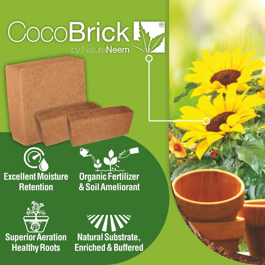 Coco Brick: Lightweight Planting Substrate for Urban Gardening ...