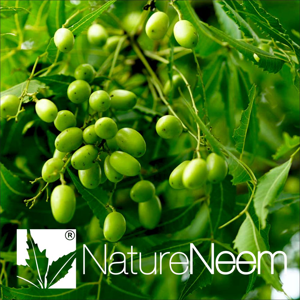 Neem products - NatureNeem e-Shop